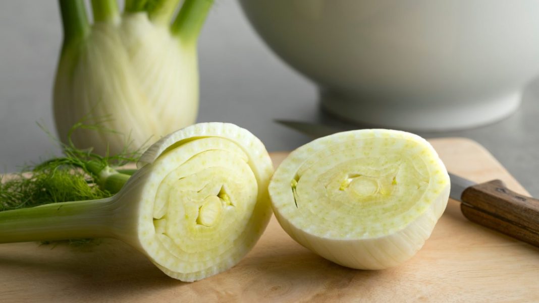 La differenza tra i finocchi maschi e femmine, vediamo