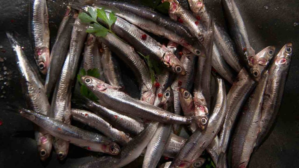 Le alici marinate fatte in casa hanno tutto un altro sapore